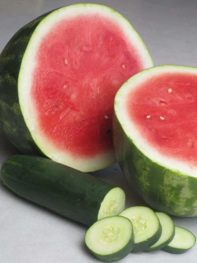 The History of the Cucumber – Cucumber Sourdough Starter